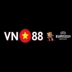 Vn Party