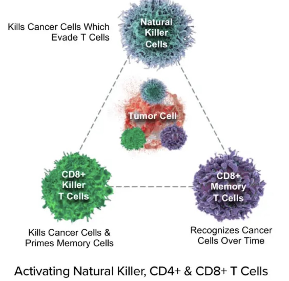 Founder’s Vision for Next-Generation Immunotherapy A Message from ...