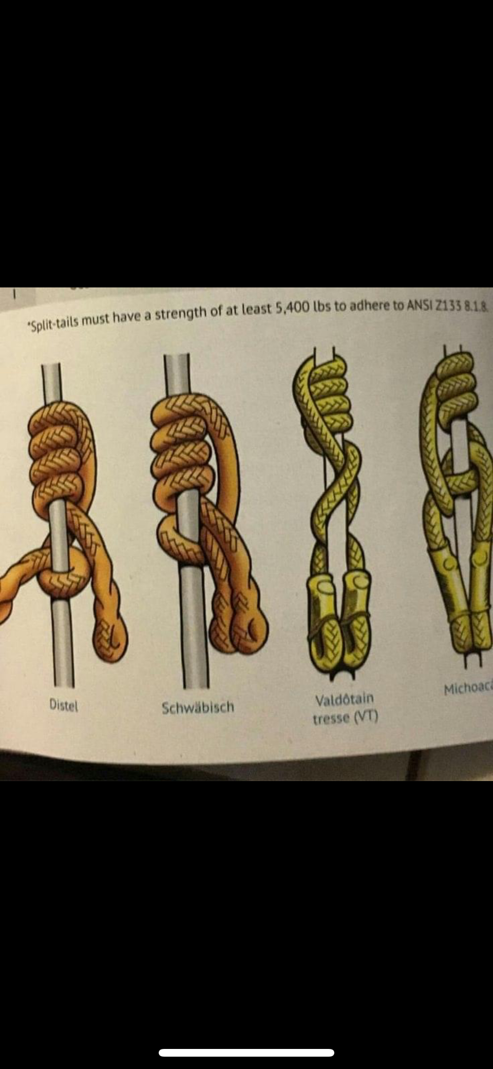 Prusik hitch’s · STS Arborists