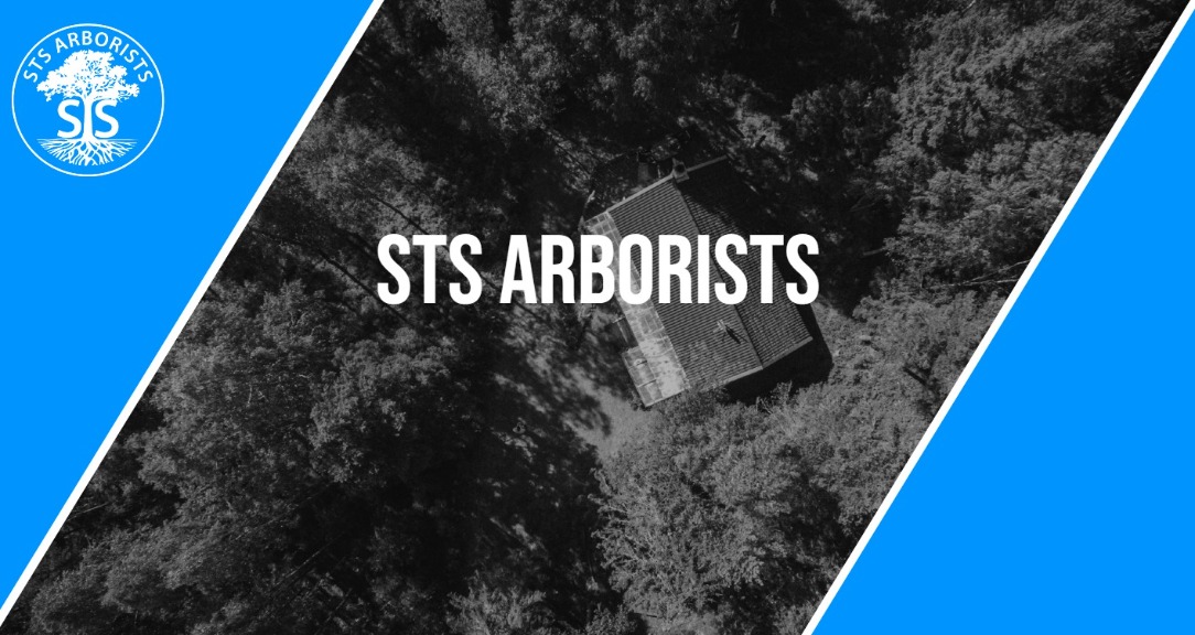 Where We're Headed · STS Arborists