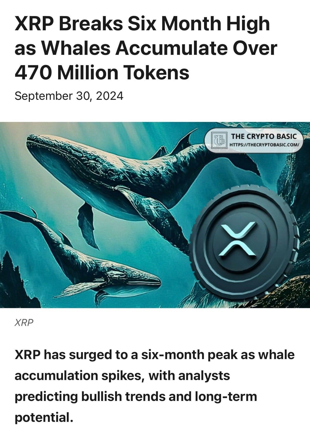 🚨BOOM! 🚀 XRP Hits Six-Month High as Whales Accumulate Over 470 Million Tokens! 🐳💰 Something big ...