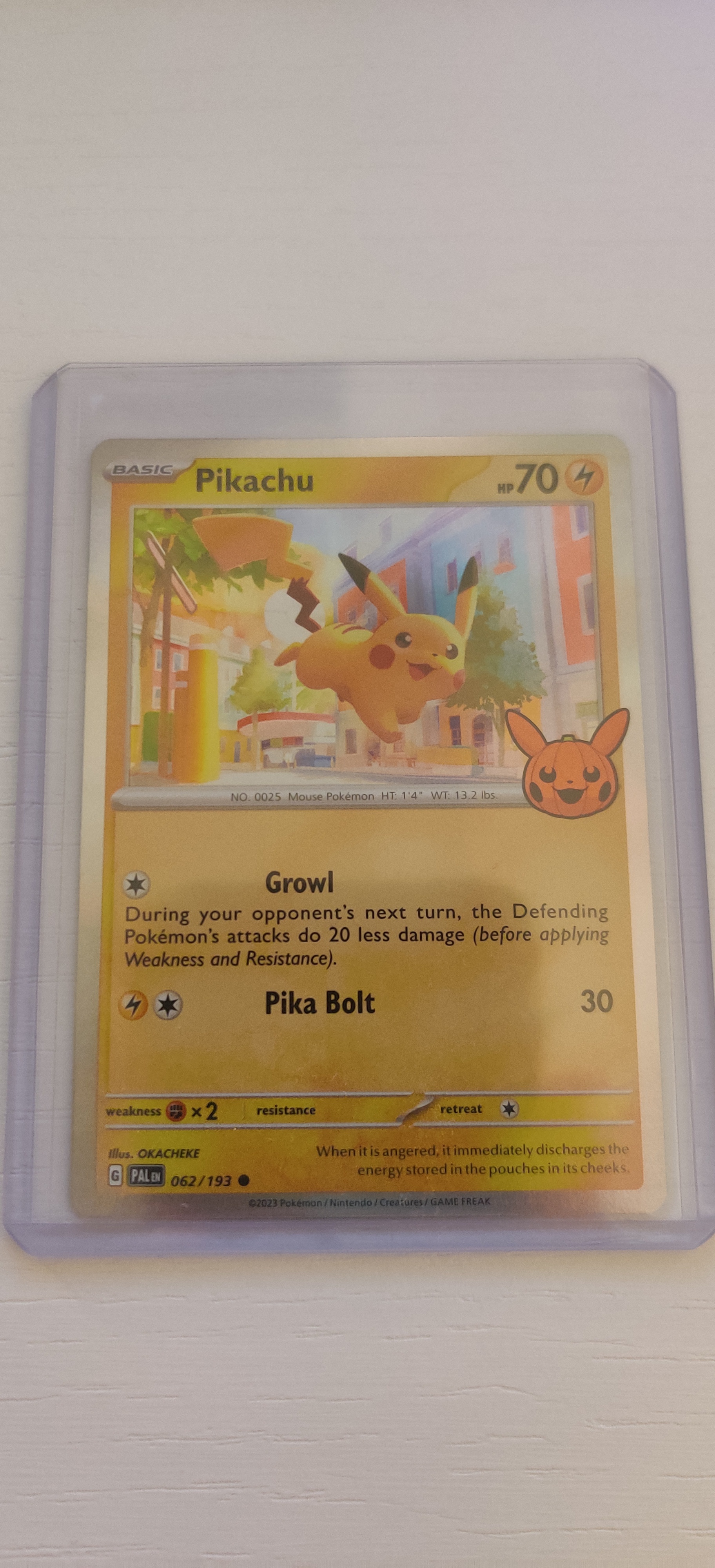 Introduction · Pokemon Card Investing