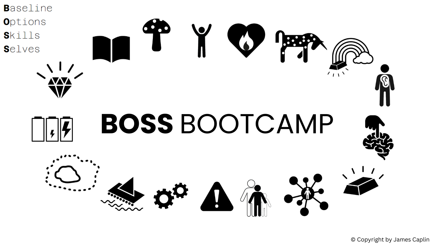 BOSS Bootcamp