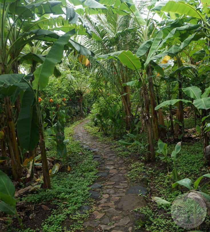 Humbleness Is A Super Power · Truth Seekers Society 🆓