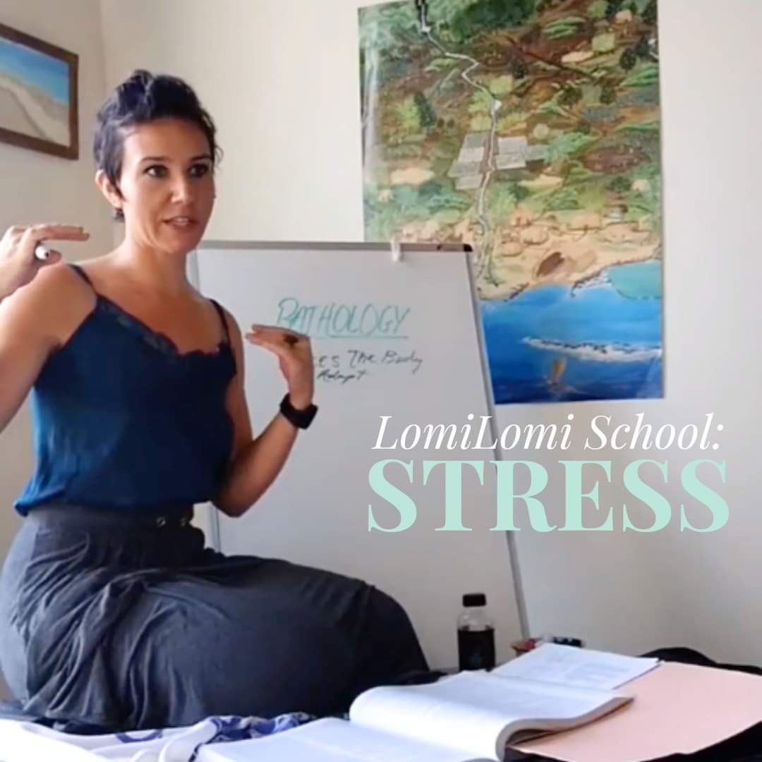 Stress-Free Study! · Healer's Craft