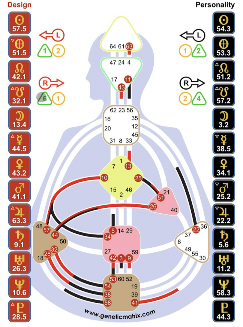 Energy Centers: The Key to Understanding Your Body’s Needs · Human ...