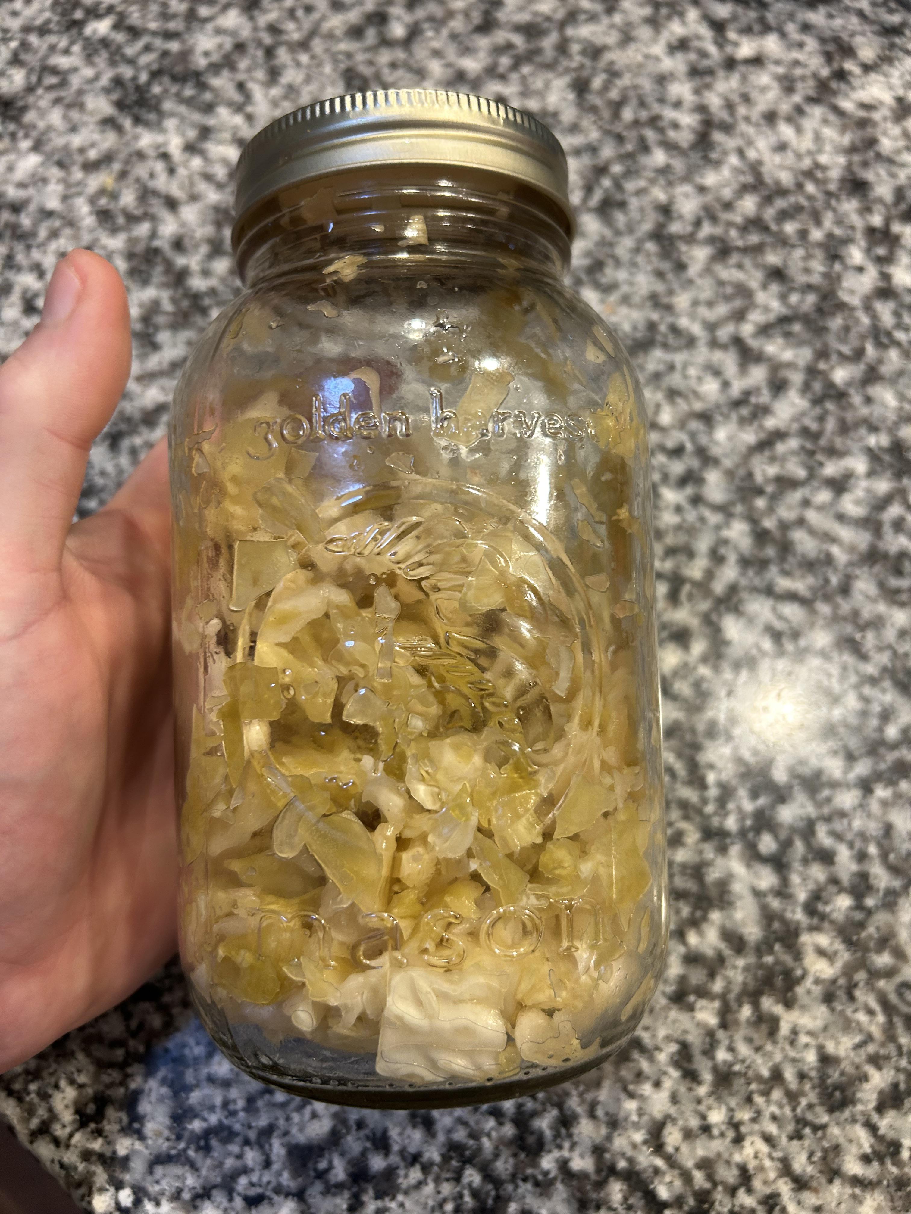 🥬 Fermenting Your Own Cabbage: The Purely Rooted Way · Immune ...