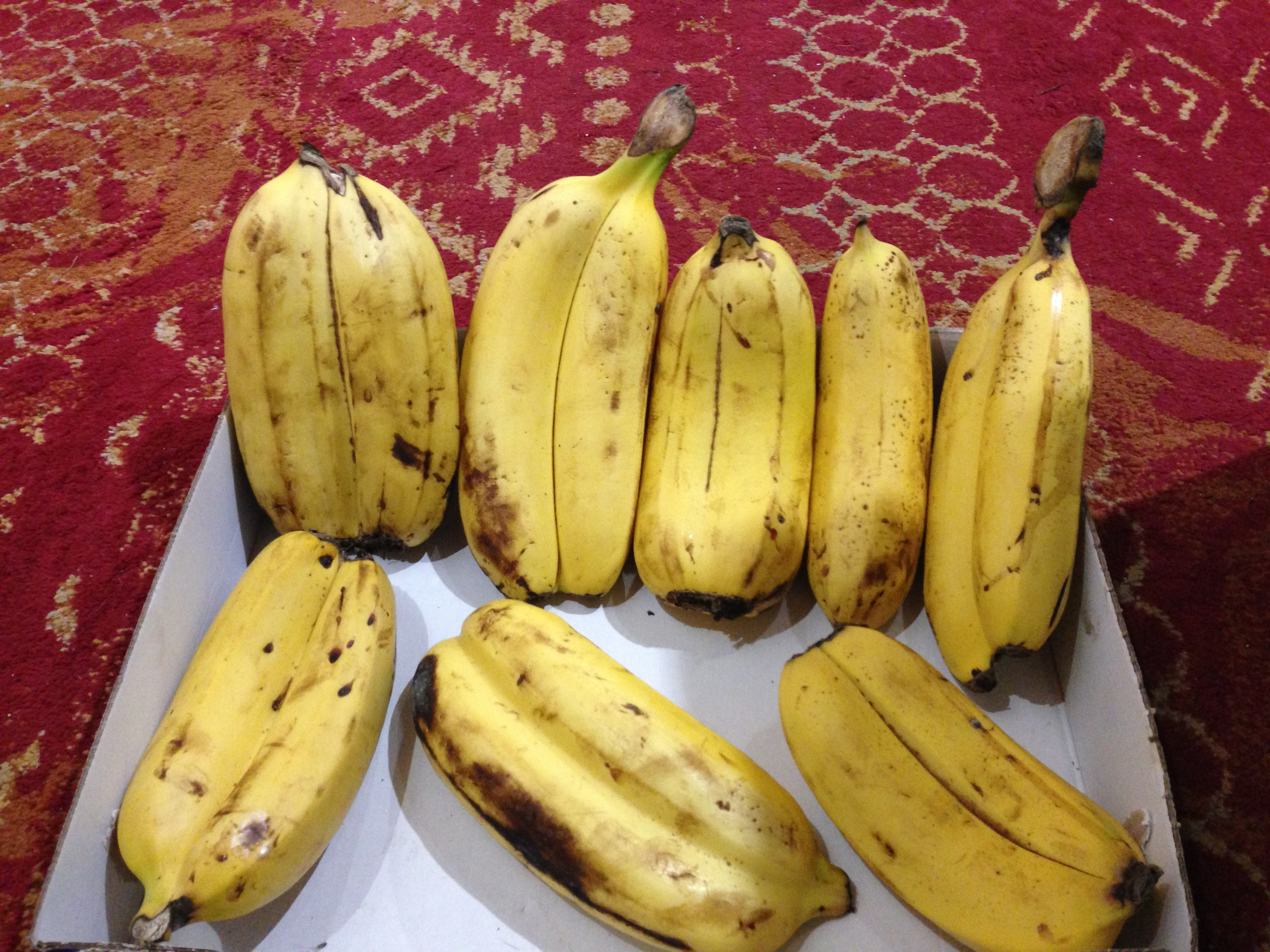 Interesting Bananas · The 80/10/10 Community