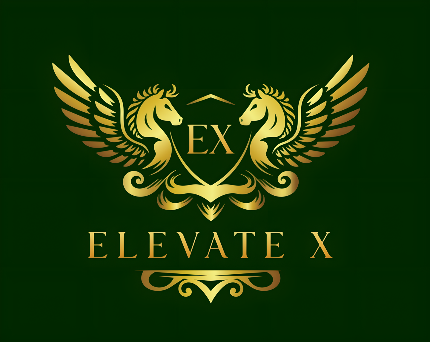 ELEVATE X