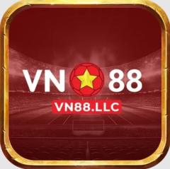 Vn Llc