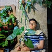 Mike Tseng