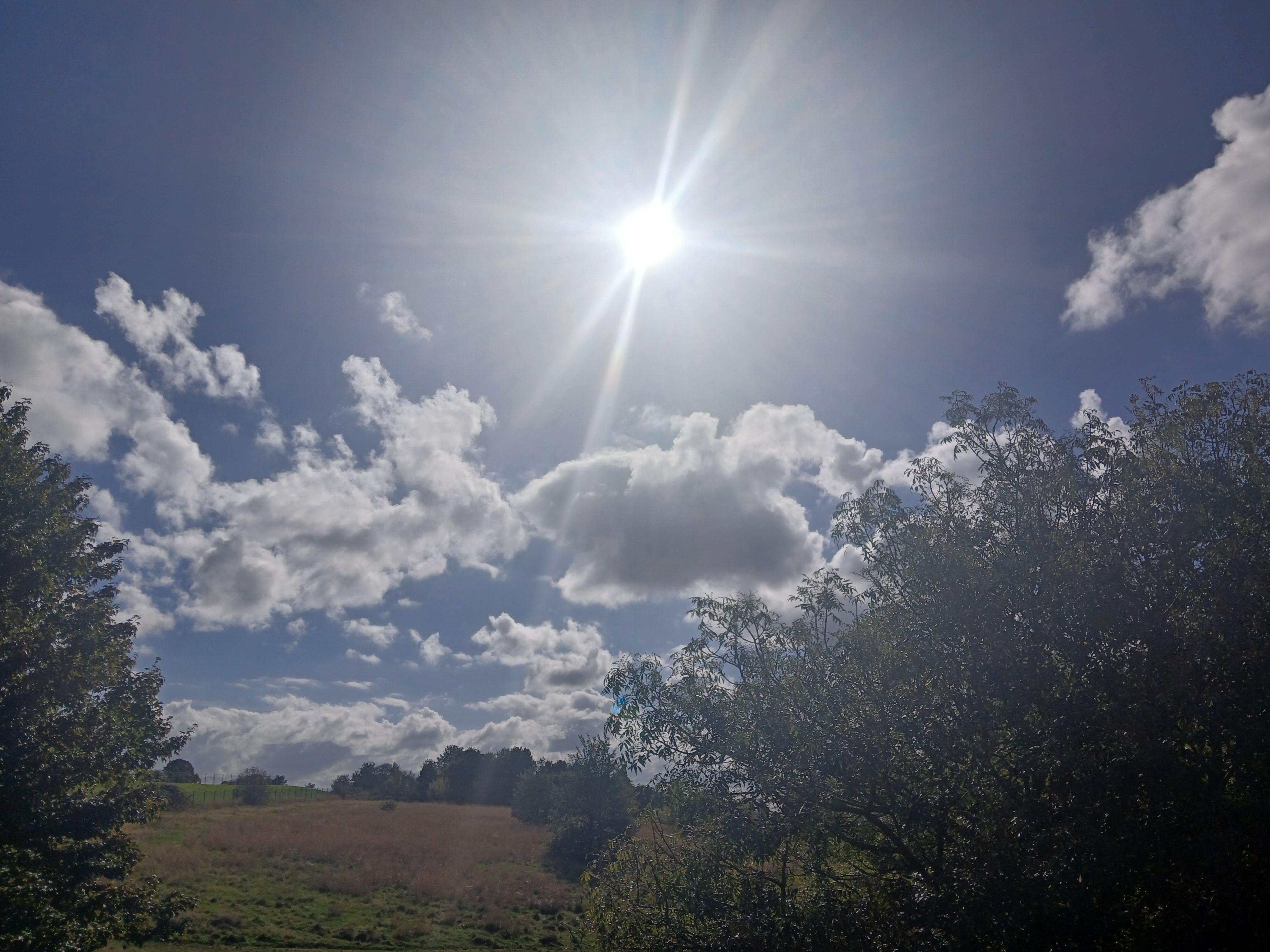 BE the sunshine 🌞 · Human Intelligence by Soma+IQ