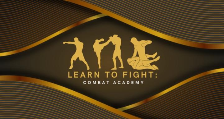 Learn To Fight: Combat Academy