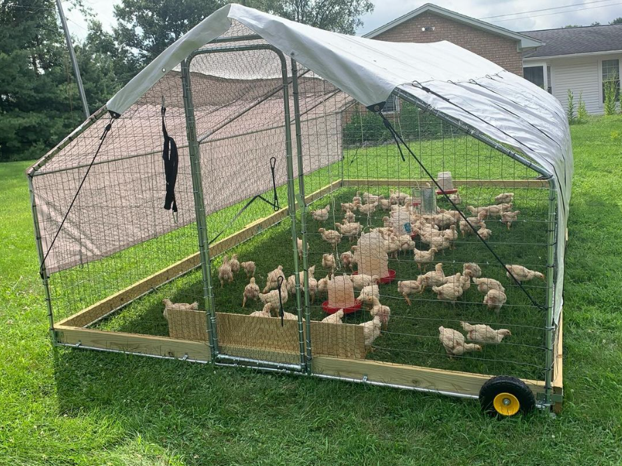 Meat Chicken Tractor · Human Health/Pasture Farming