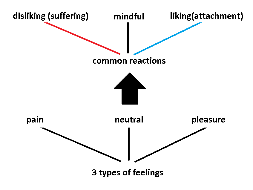 Pain & Reaction · Meditation For Supreme Benefit