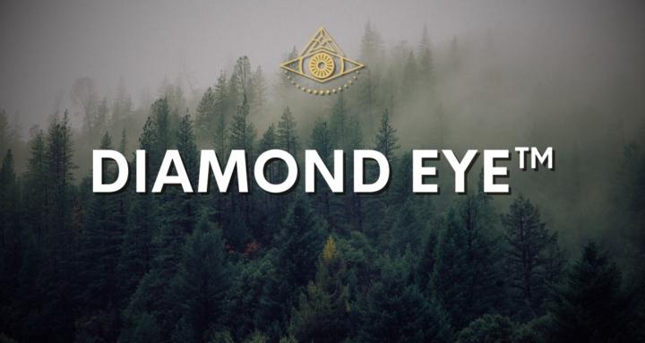 Diamond Eye™