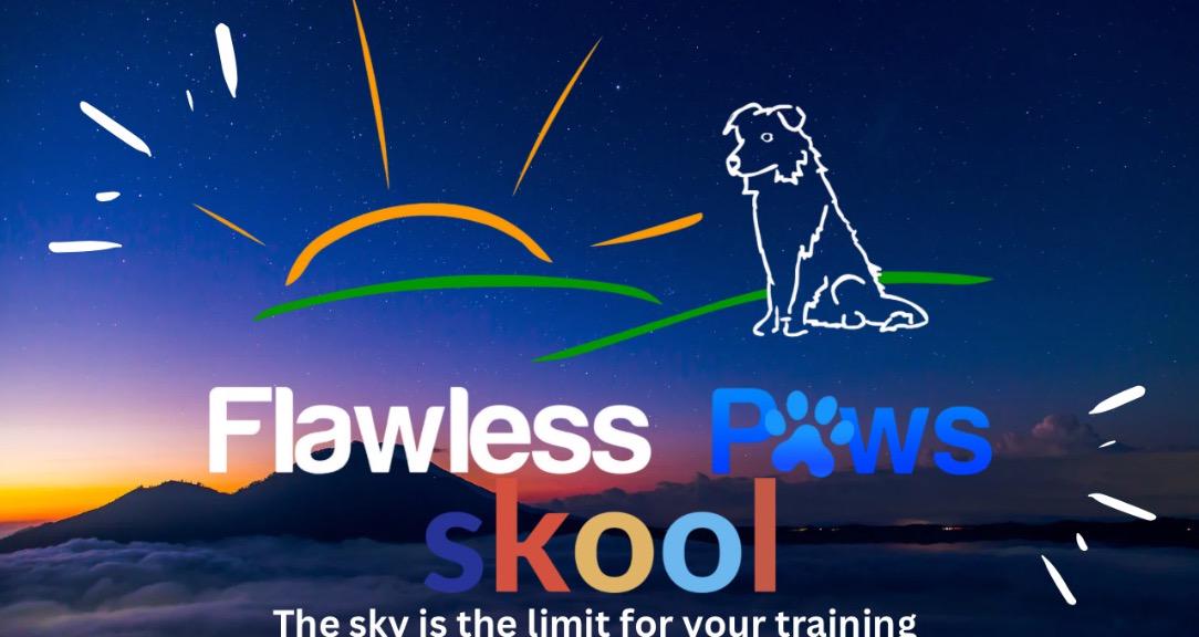 Classroom · Flawless Paws school