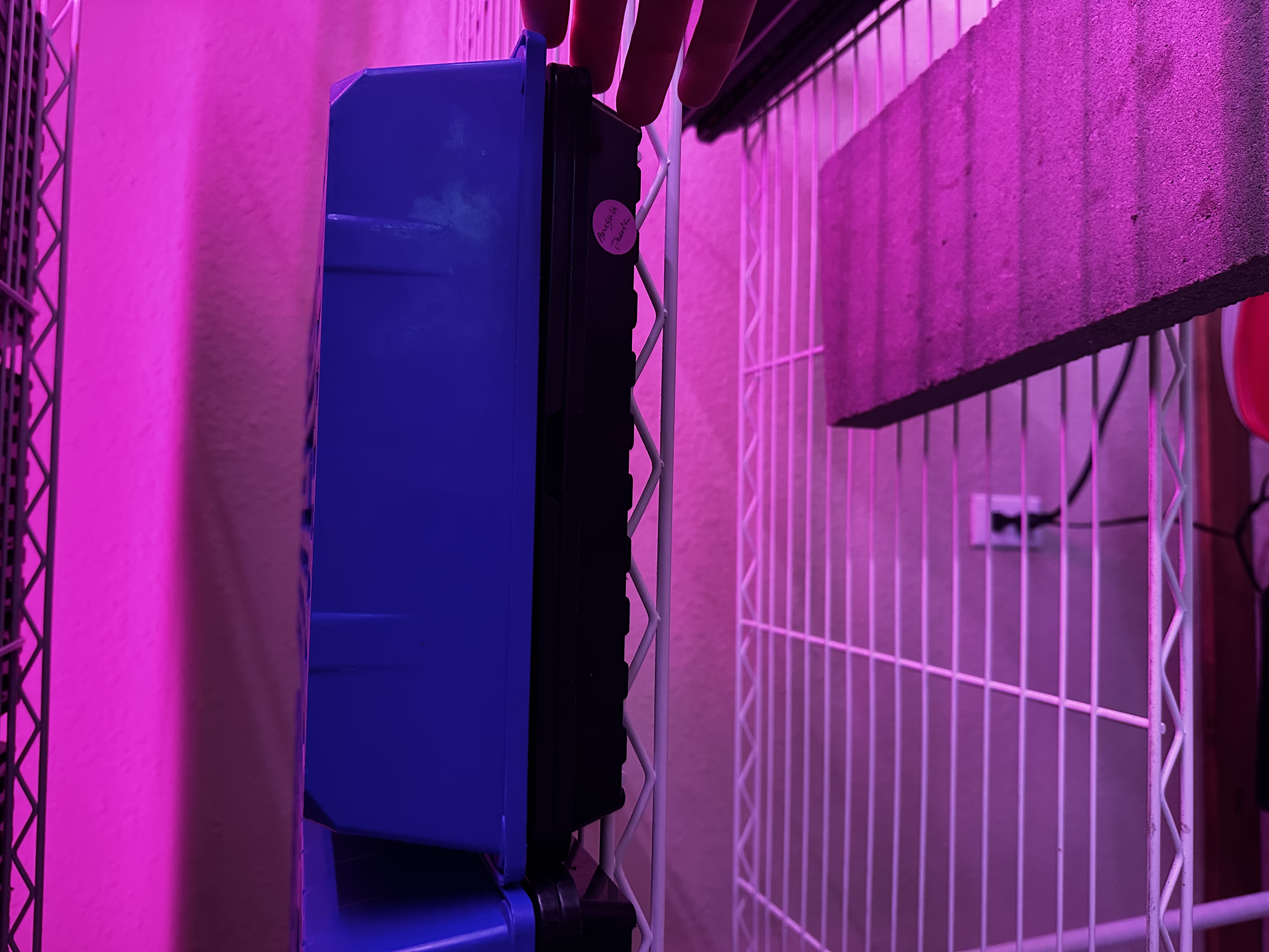 Microgreen tip of the day · The Lord's Lettuce Access