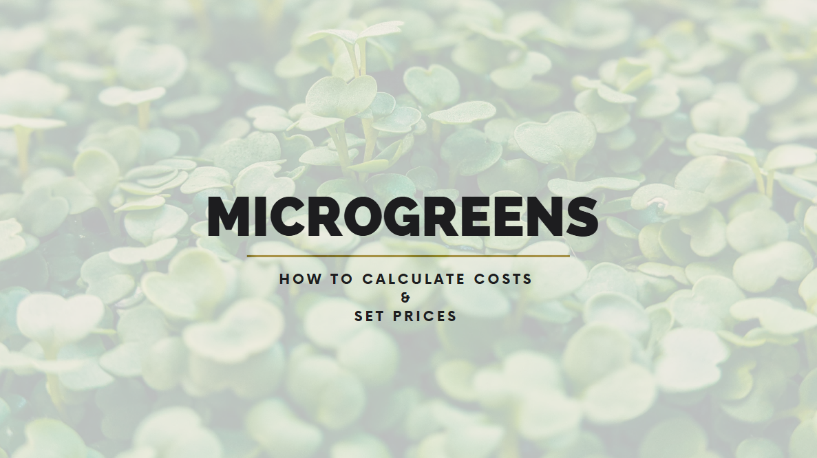 Calculating Costs PDF · The Lord's Lettuce Access