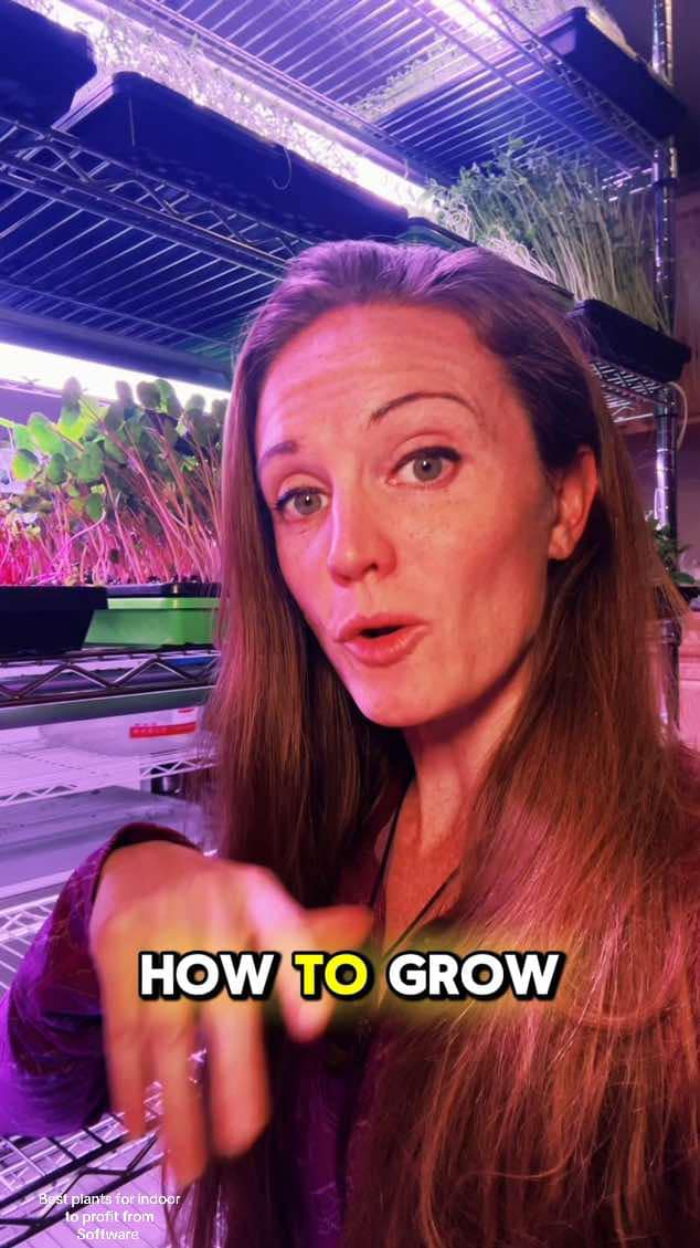 TikTok Live on @TheLordsLettuce Daily · The Lord's Lettuce Access