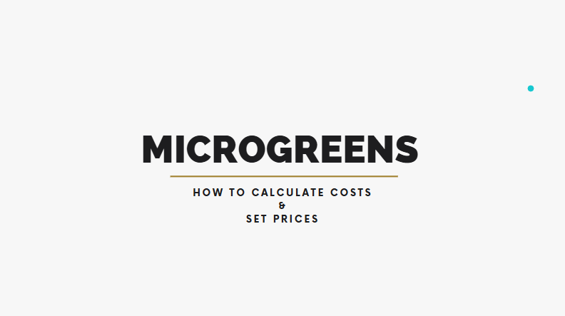 HAPPY NEW YEAR'S EVE! Zoom Call Tonight! · The Lord's Lettuce Access