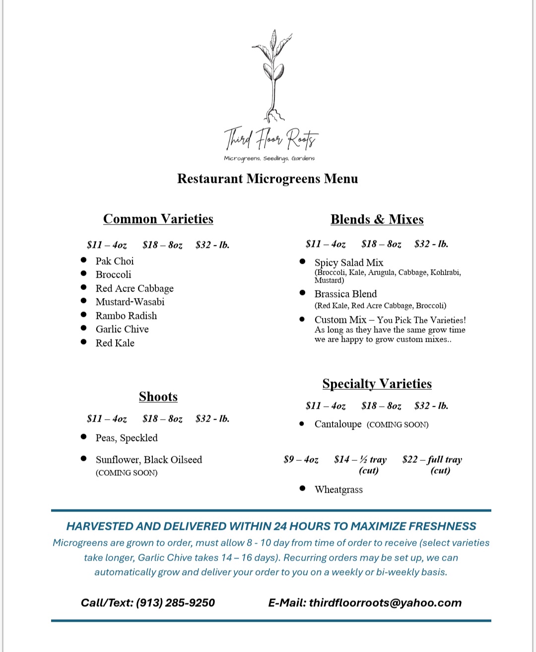 Restaurant menu and pricing · The Lord's Lettuce Access