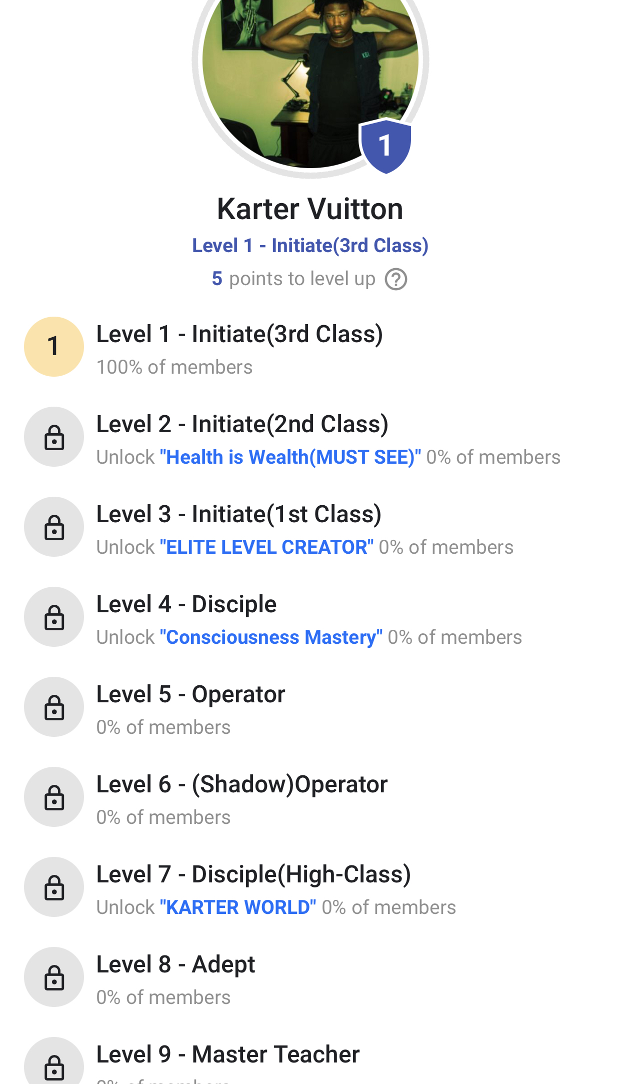 About the Leveling System/ Hierarchy · Renaissance Nation