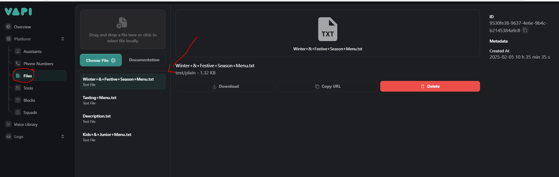 Knowledge Base File Not Appearing in Assistant After Upload in VAPI · Brendan's AI Community
