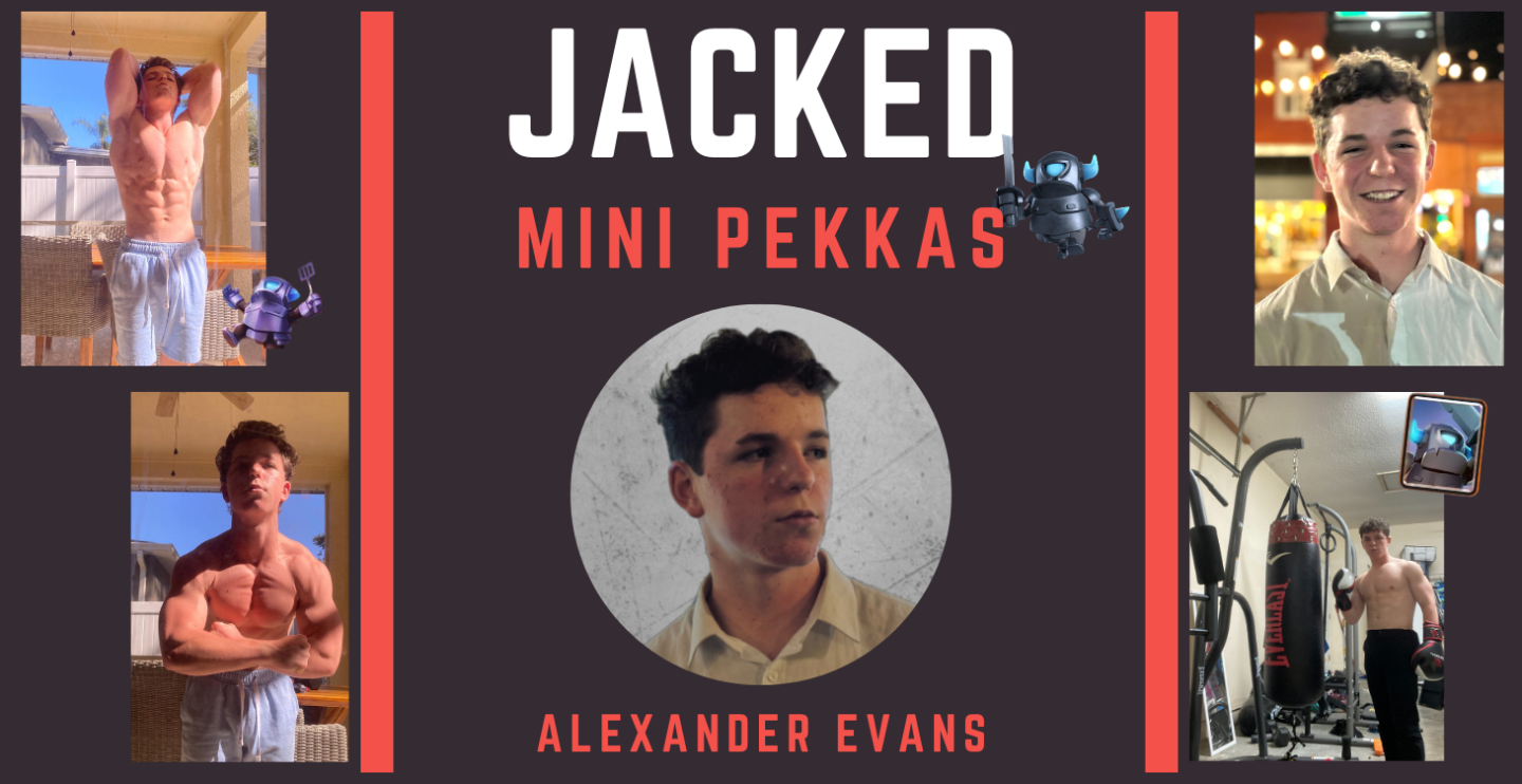 Jacked Mini PEKKAS