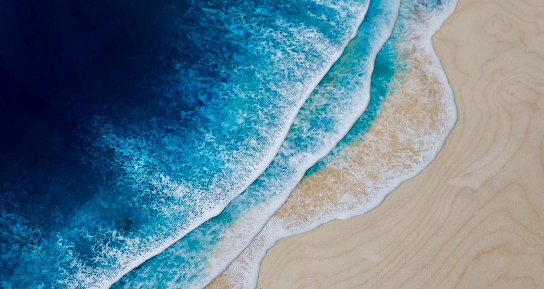 Complete Beginner · The Fifth Design Studio