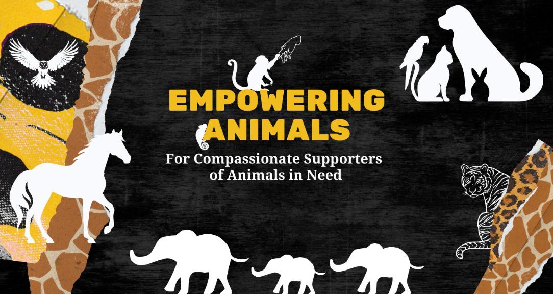 Classroom · Empowering Animals