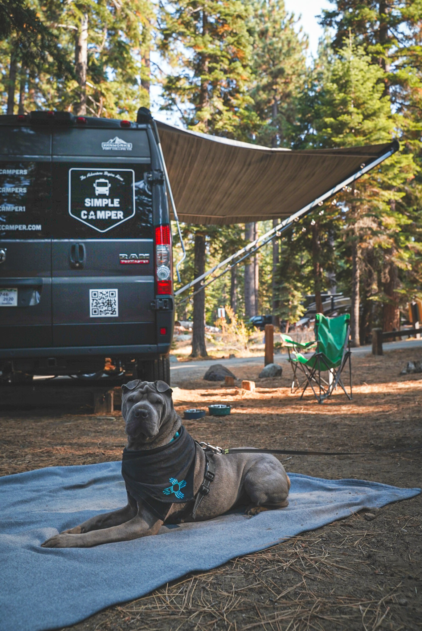 Hi, I'm Daniel from Michigan · Snappy Community