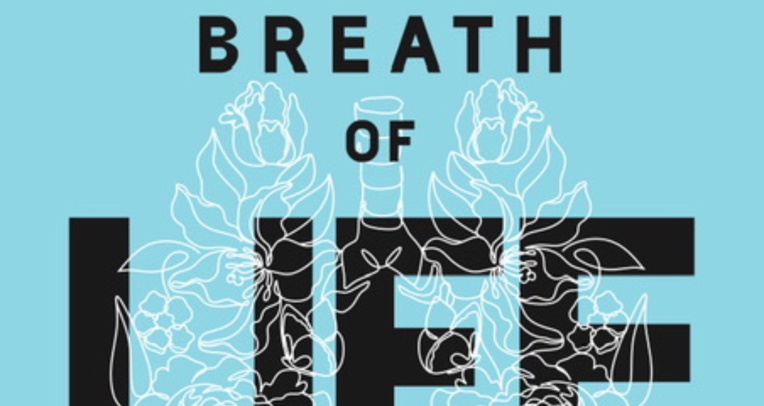Breath of Life Recovery