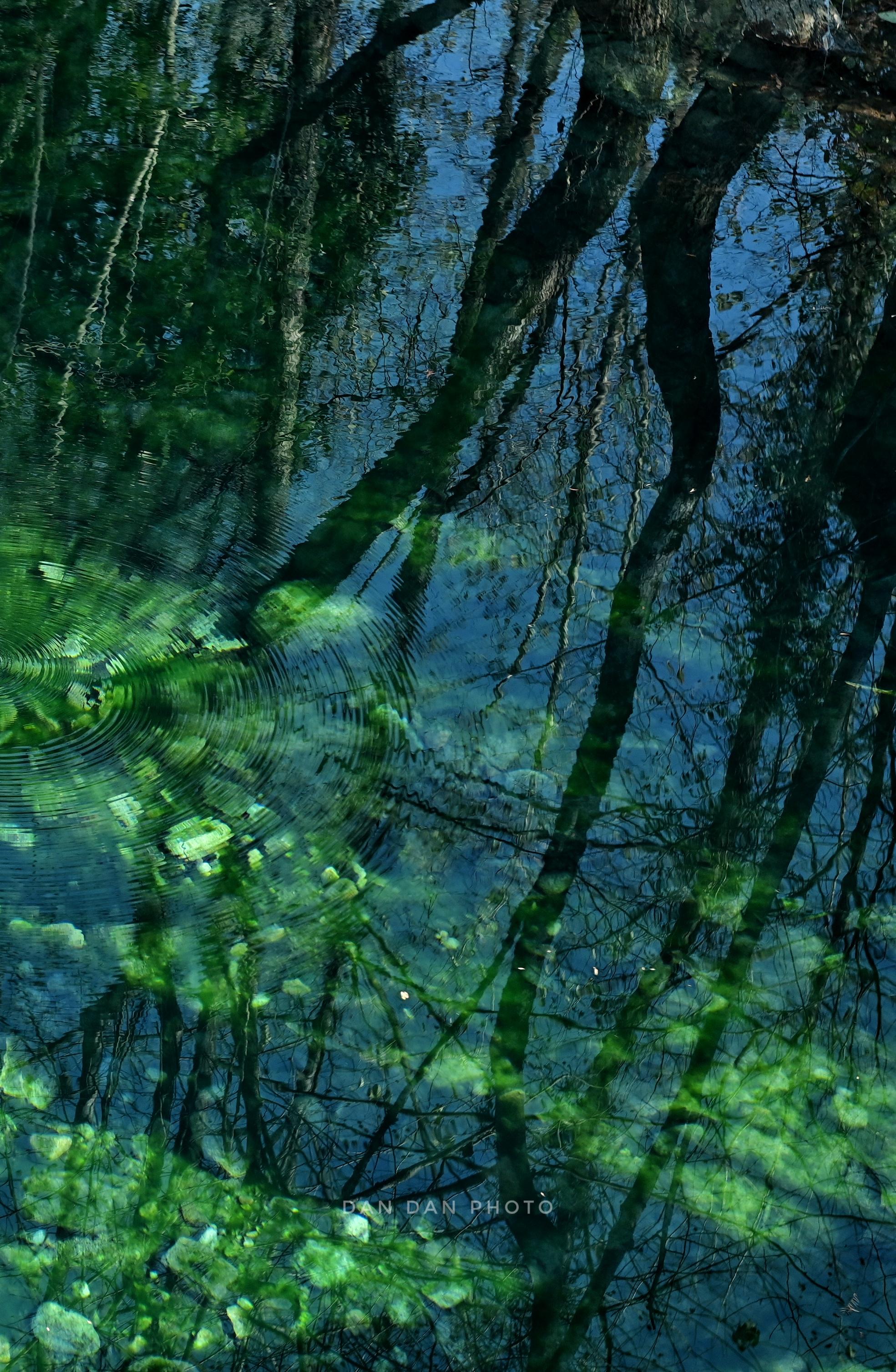 a tender gift from winter to spring · Let's Master English