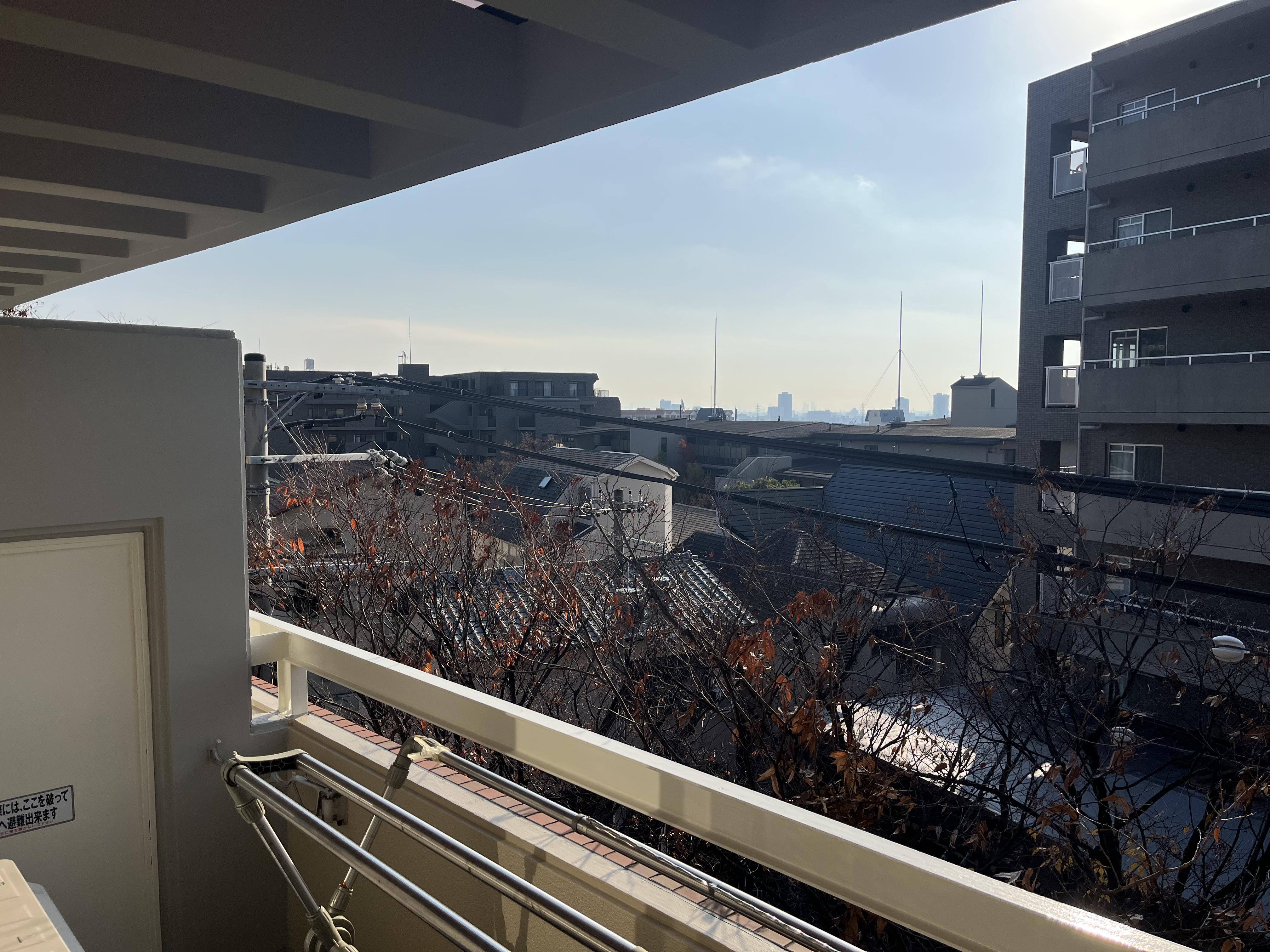 A Cat Through the Scaffolding · Let's Master English