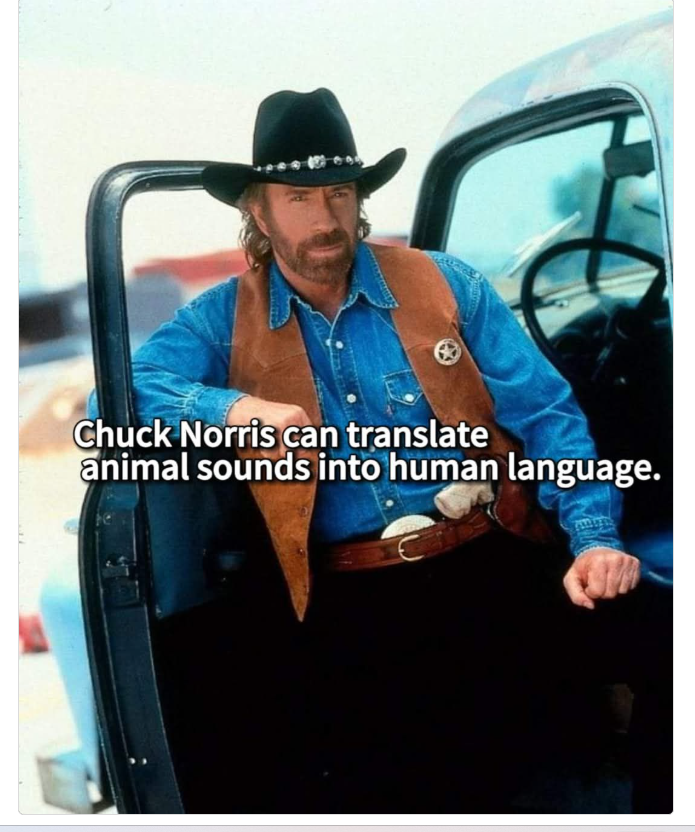 __ Chuck Jokes __ · Let's Master English