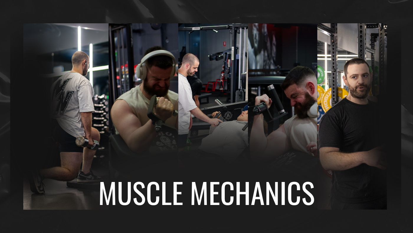 Muscle Mechanics
